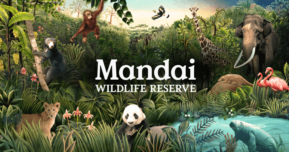 Mandai Wildlife Reserve | Singapore's Best Wildlife Experience